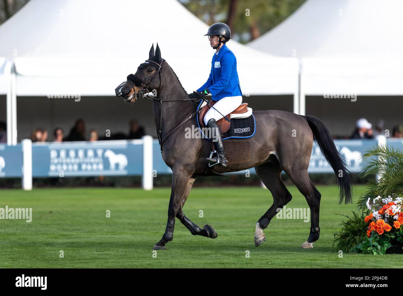 Amy Millar from Canada competes at a Major League Show Jumping event at ...