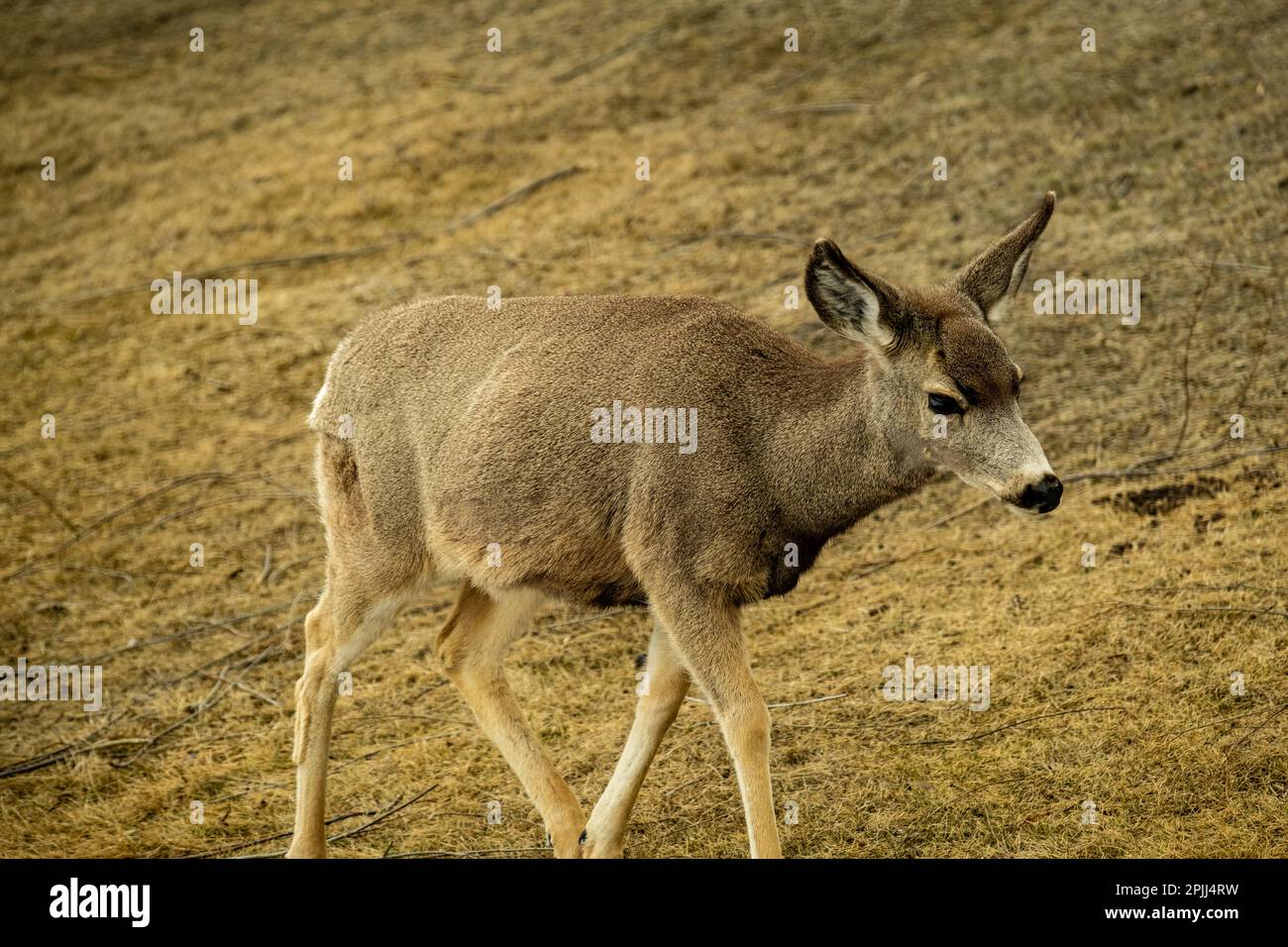 Visiting outdoor photo hi-res stock photography and images - Alamy
