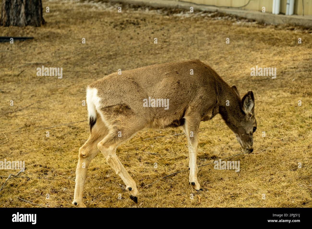 Visiting outdoor photo hi-res stock photography and images - Alamy