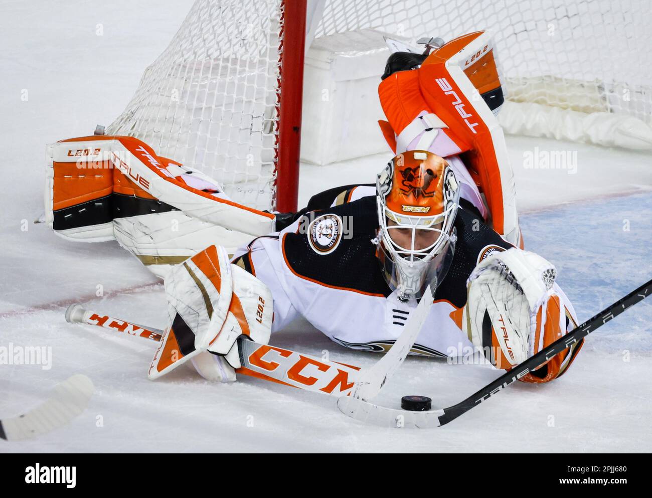 Anaheim Ducks goalie Lukas Dostal dives for the puck during third ...