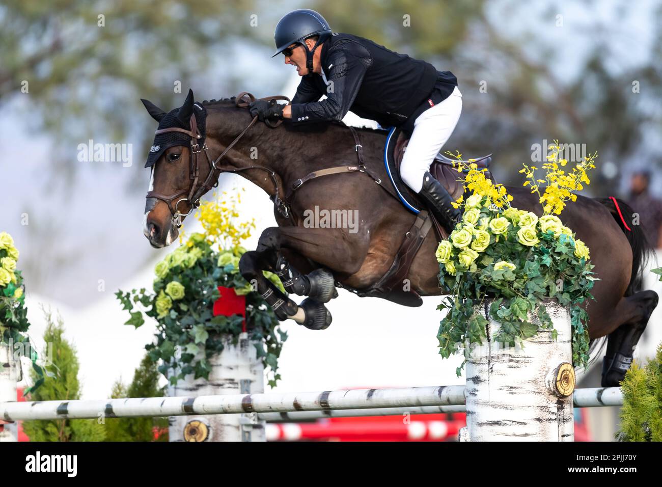 Paul O'Shea of Ireland competes at a Major League Show Jumping event at ...