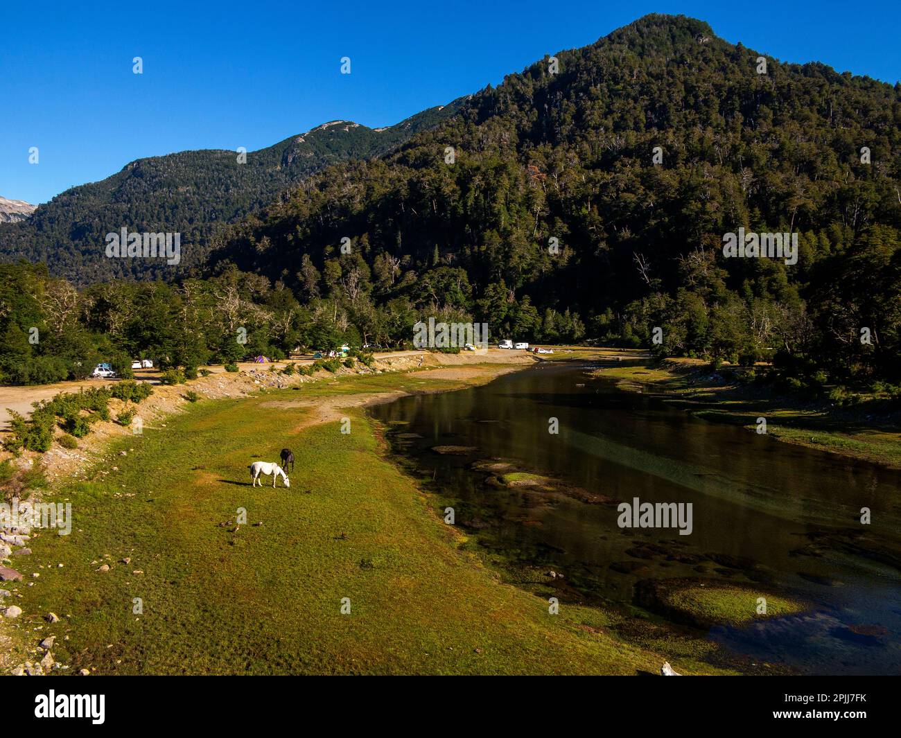 Camping area on the shores of Pichi Traful river, Nahuel Huapi National ...