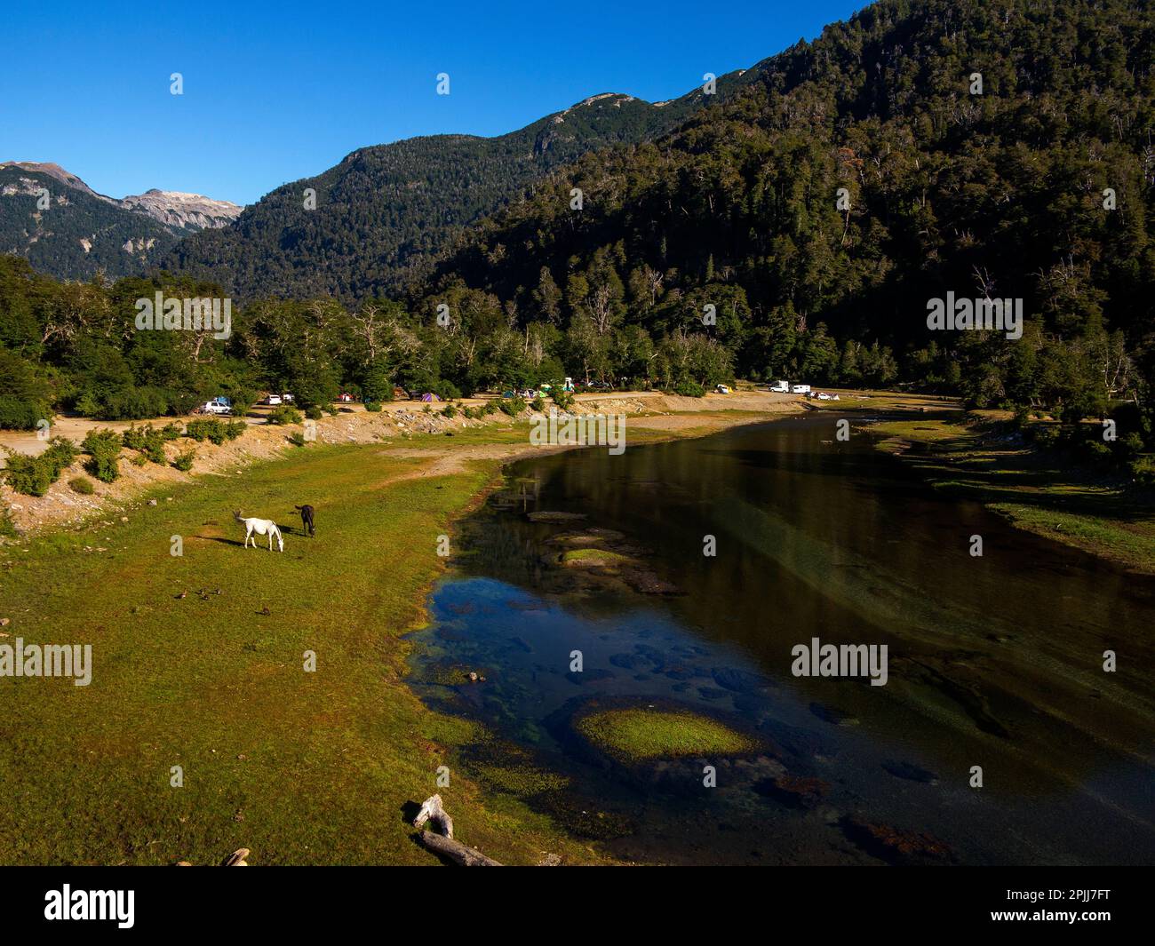 Camping area on the shores of Pichi Traful river, Nahuel Huapi National ...