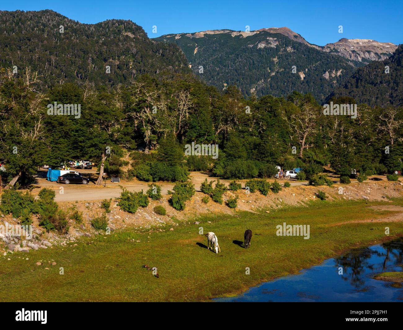 Camping area on the shores of Pichi Traful river, Nahuel Huapi National ...