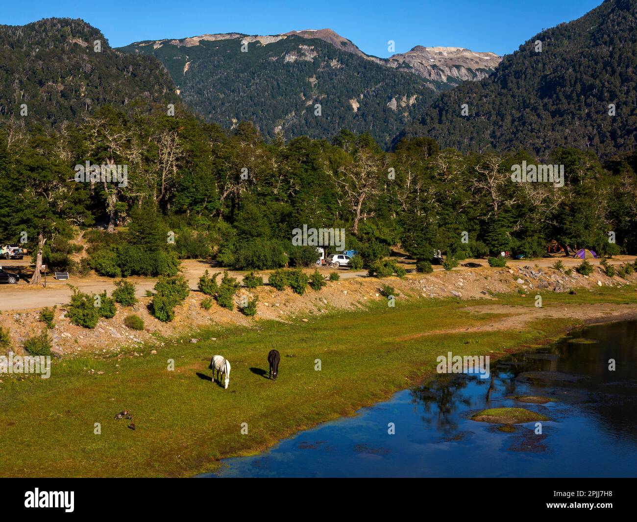 Camping area on the shores of Pichi Traful river, Nahuel Huapi National ...