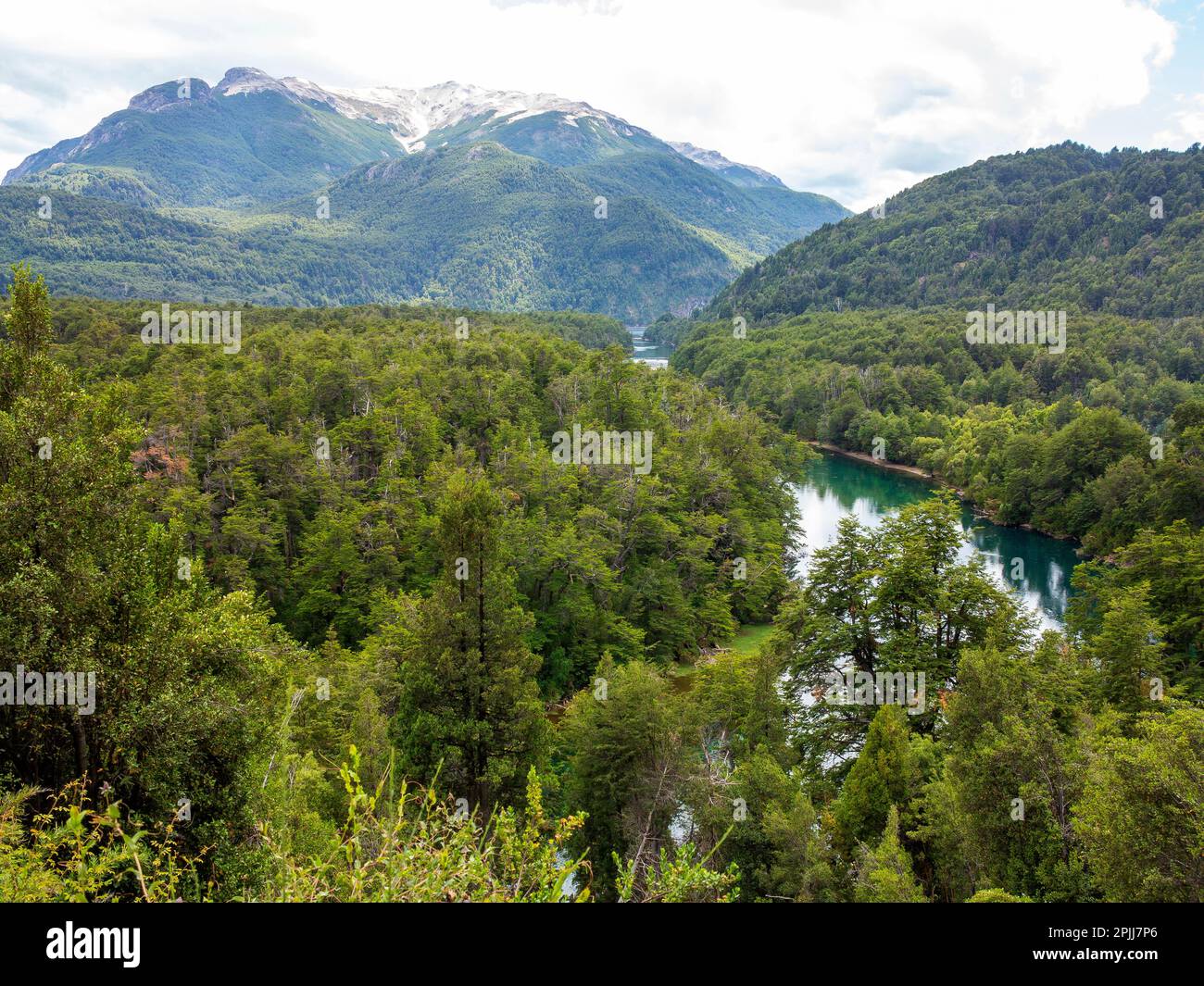 Carrilleufu river surrounded by a dense forest at Los Alerces National ...