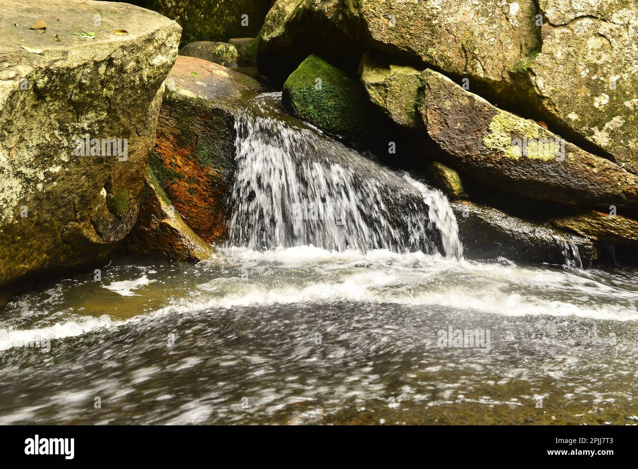 Nature at is best, Ilha Grande, Rio de Janeiro, Brazil Stock Photo - Alamy