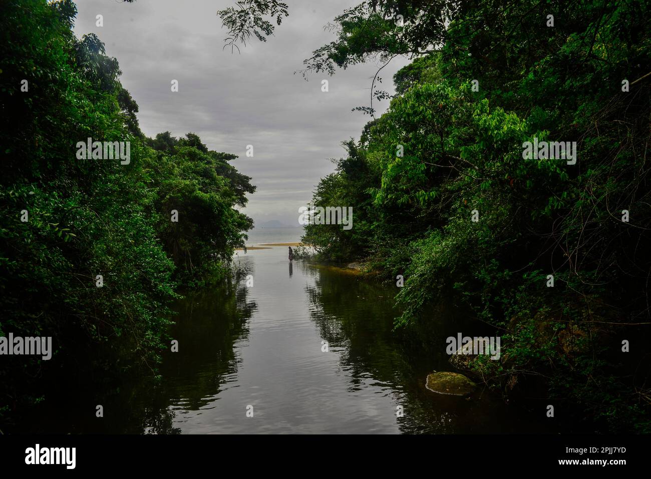 Nature at is best, Ilha Grande, Rio de Janeiro, Brazil Stock Photo - Alamy