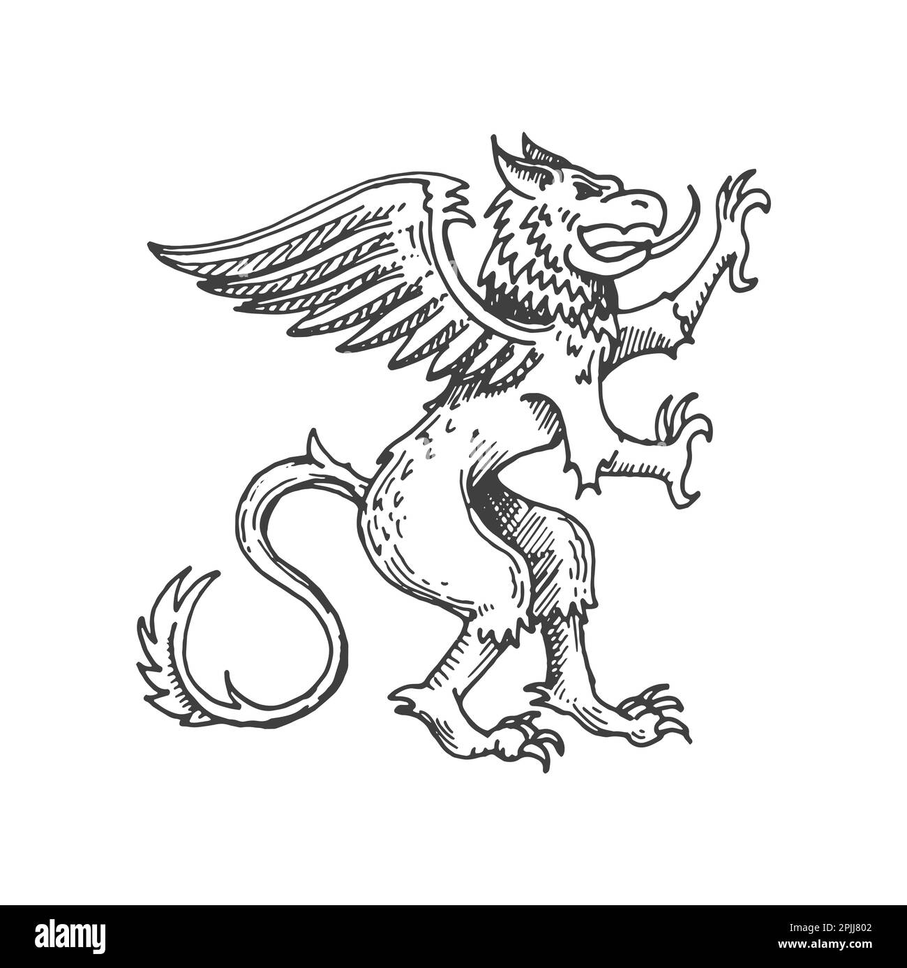 Gryphon Drawing