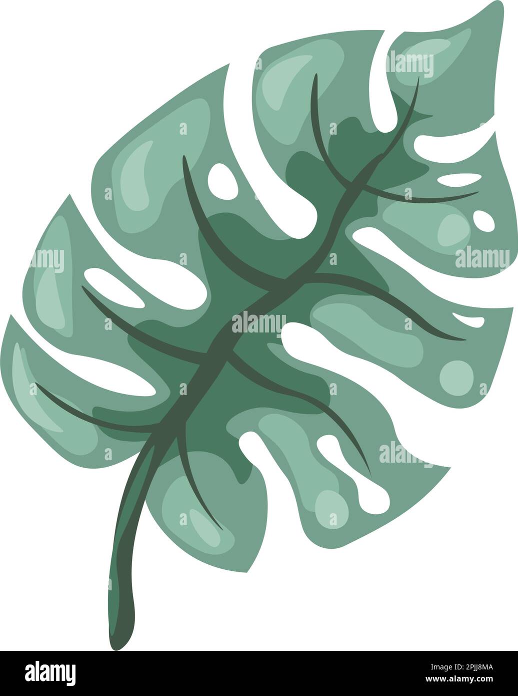 Monstera split leaf Stock Vector Images - Alamy