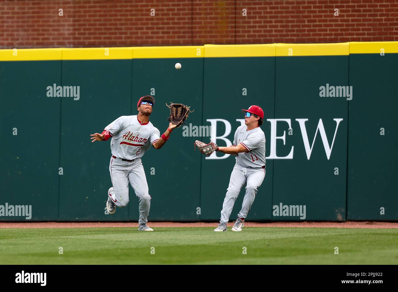 Hamiter hi-res stock photography and images - Alamy