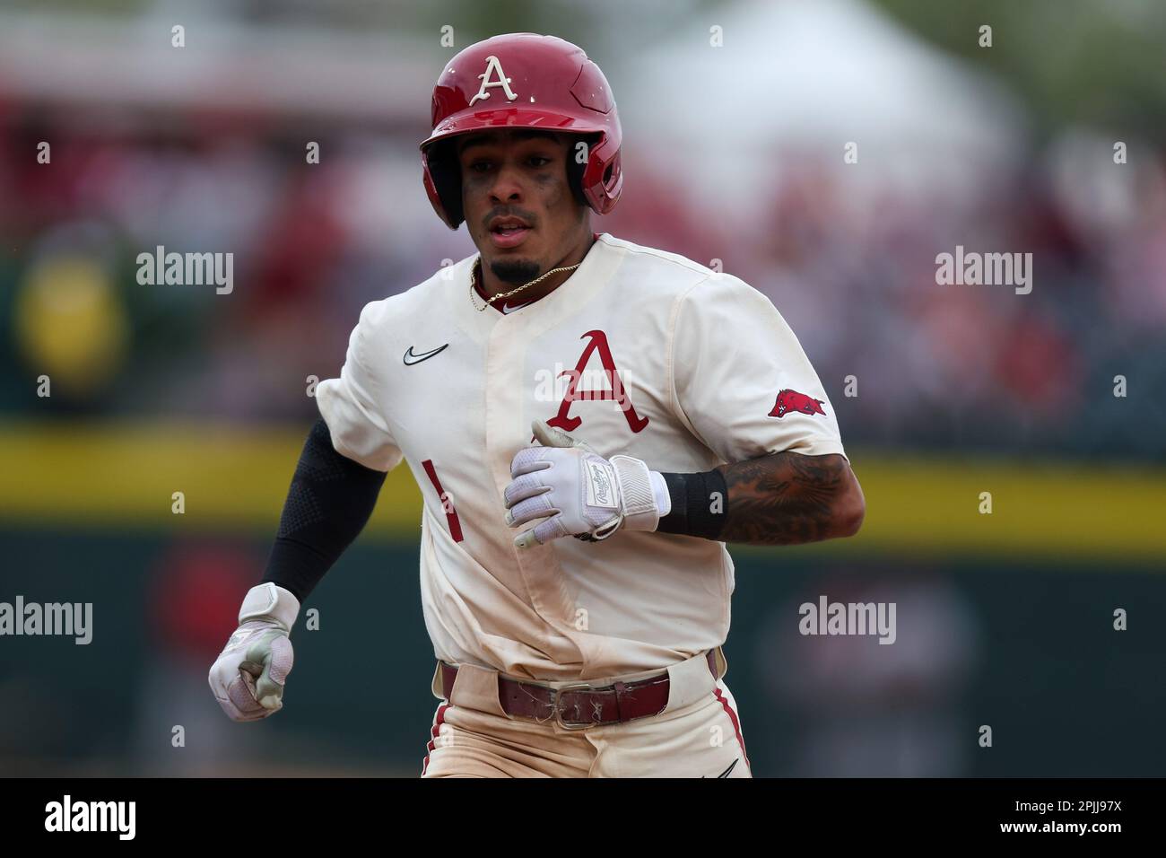 April 2, 2023: Harold Coll #1 Arkansas base runner makes his way back ...