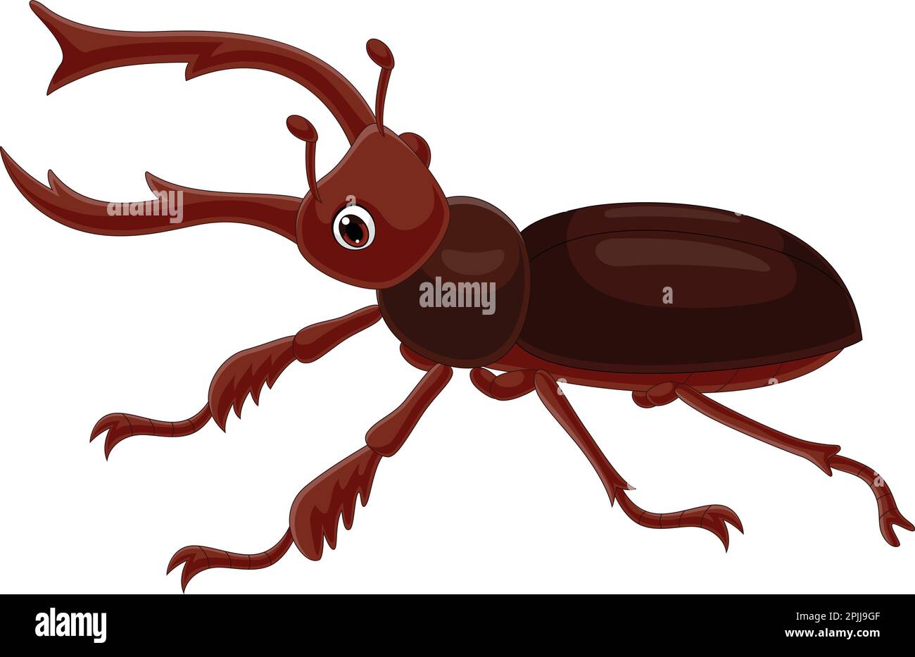 Cartoon stag beetle on white background Stock Vector Image & Art - Alamy