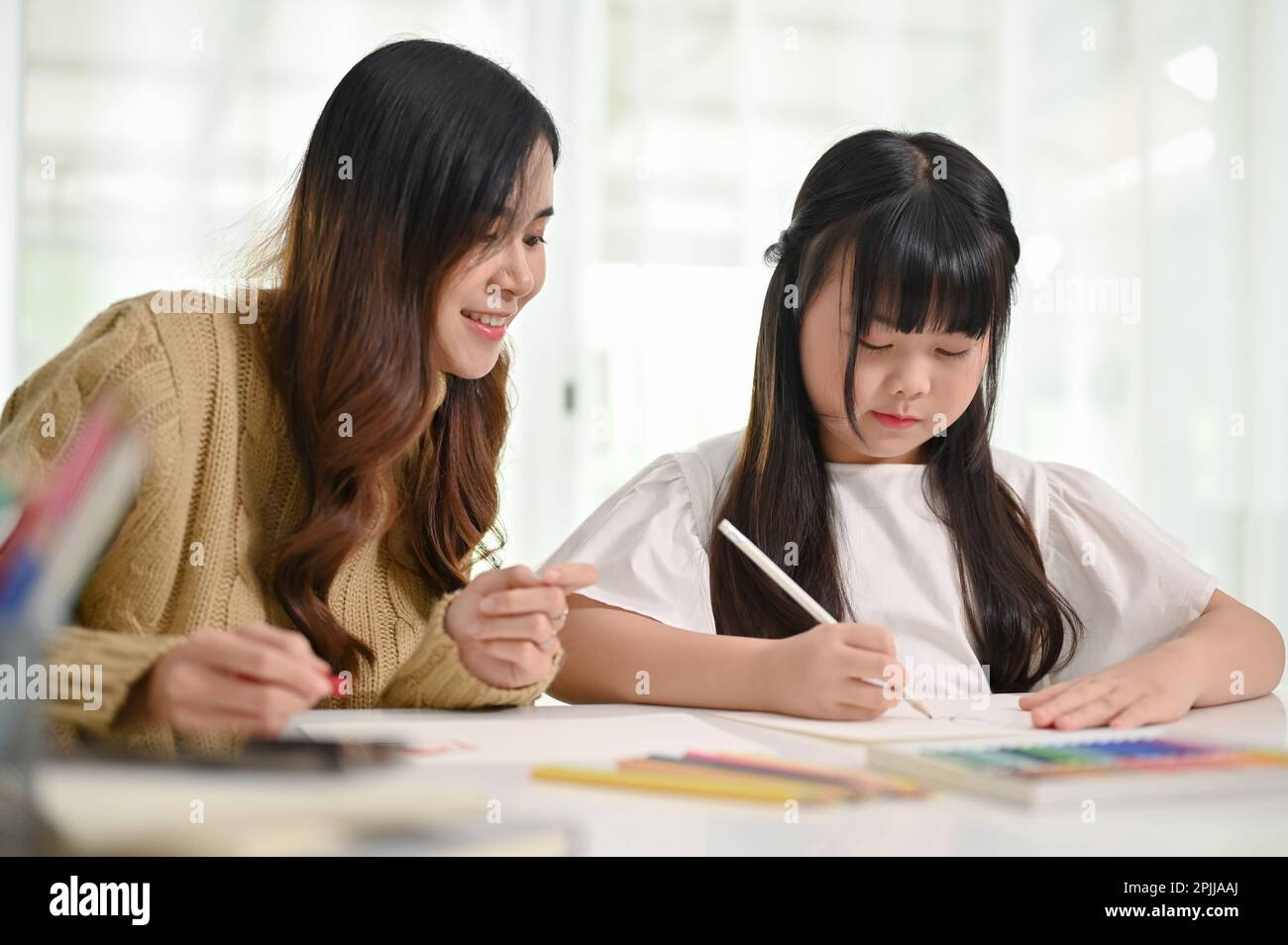 Cute Animals Doing Homework