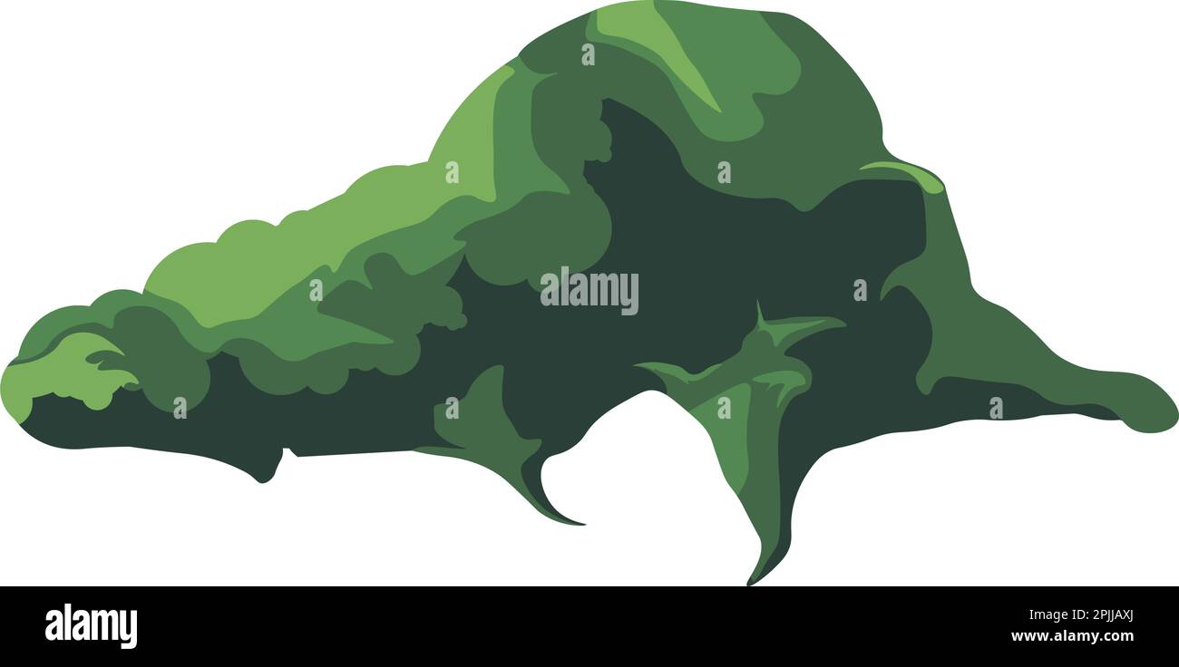 Moss plant, green flowerless botany from forest Stock Vector Image ...