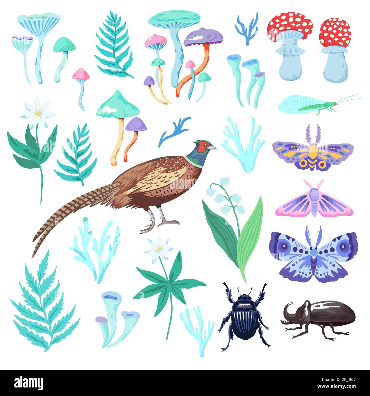 Set of clip art of forest plants, birds and insects. Magical mushrooms ...