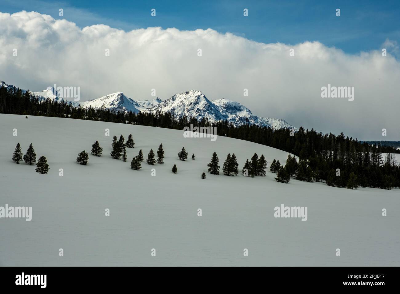 Stanley winterfest hi-res stock photography and images - Alamy