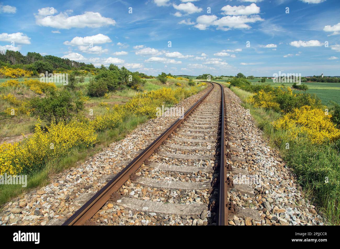 beautiful landscape with railway line and yellow flovering Cytisus ...