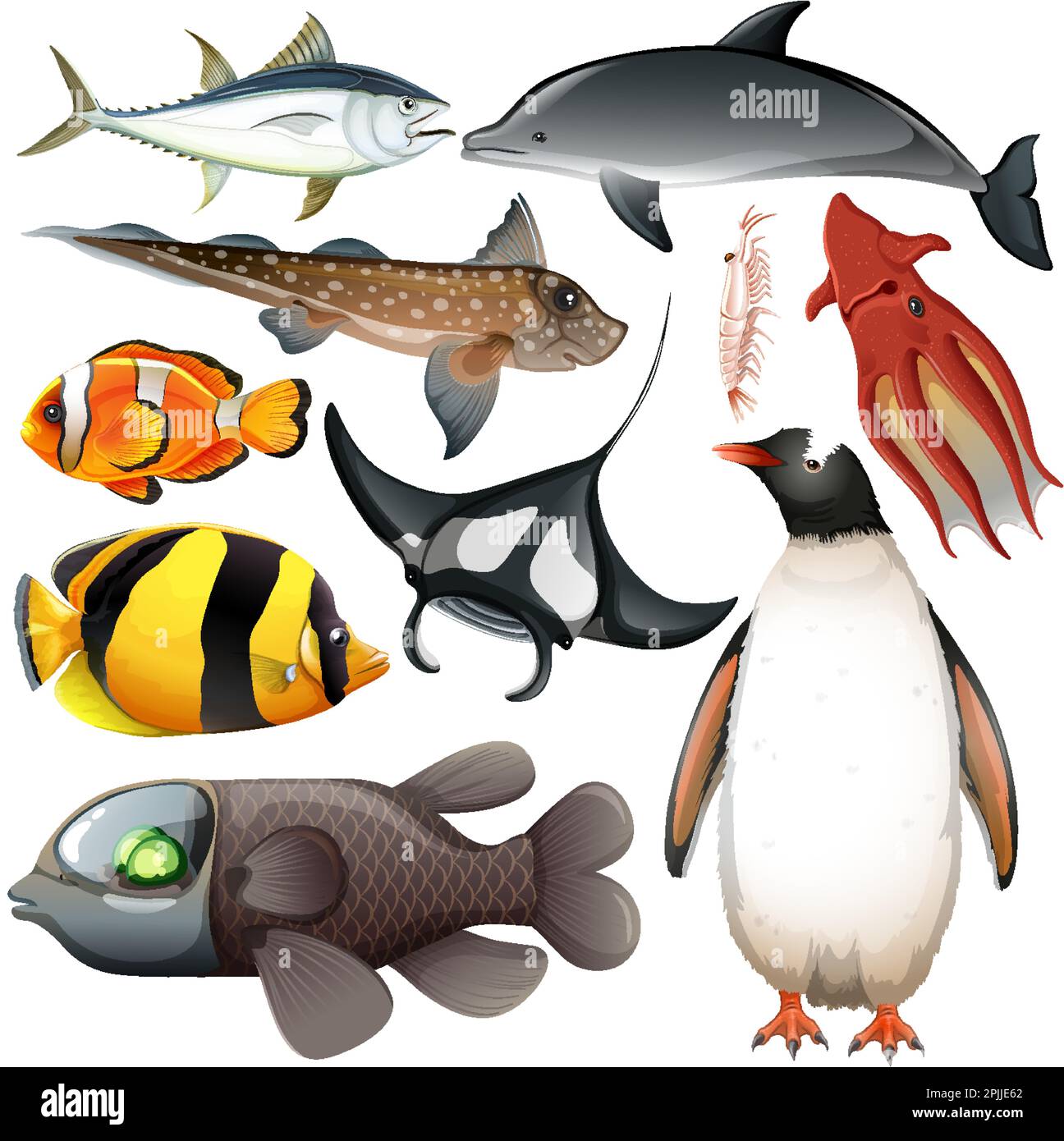 Sea Animals Vector Collection illustration Stock Vector Image & Art - Alamy