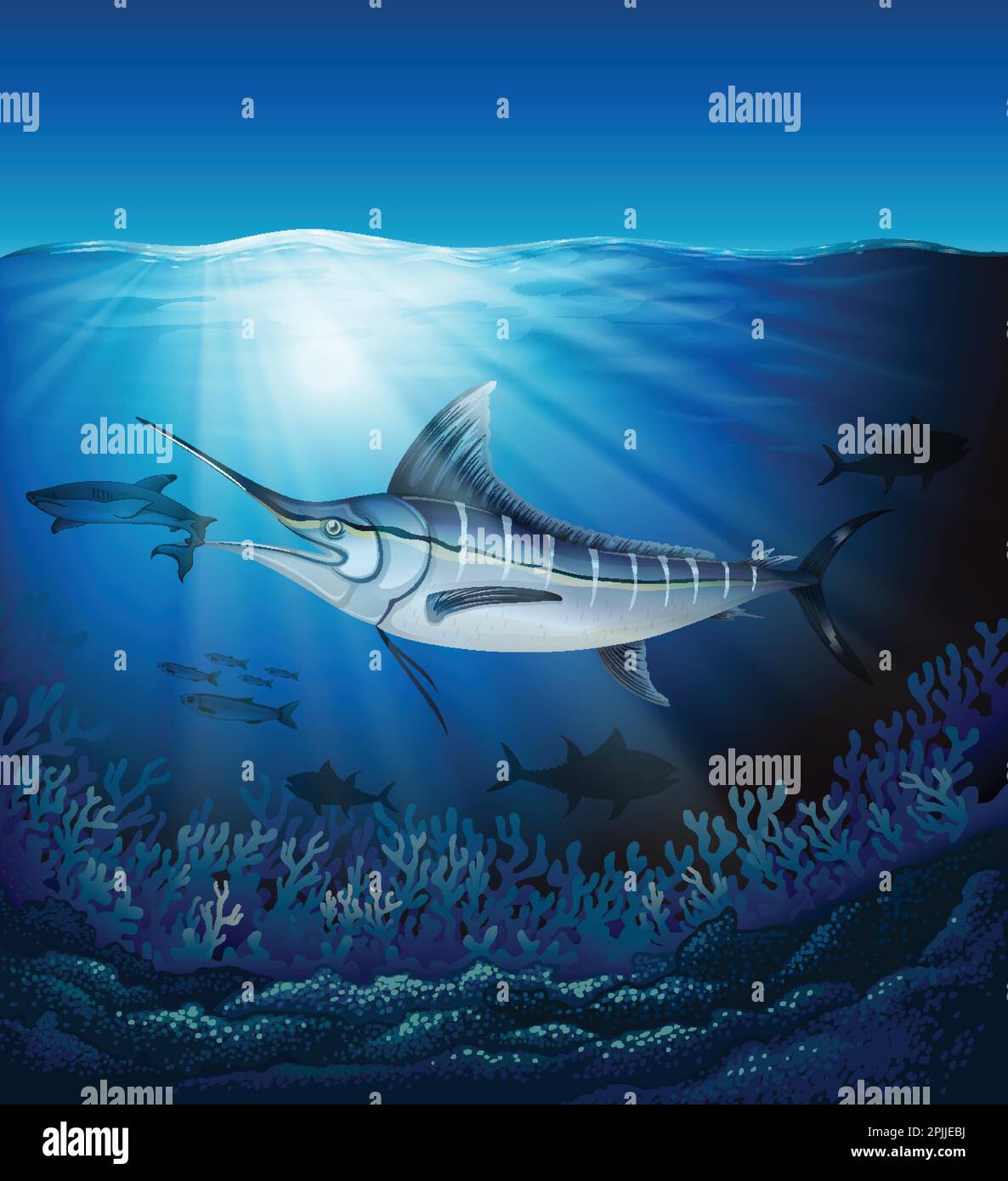 Striped Marlin Fish Swimming in the Deep Blue Sea illustration Stock ...