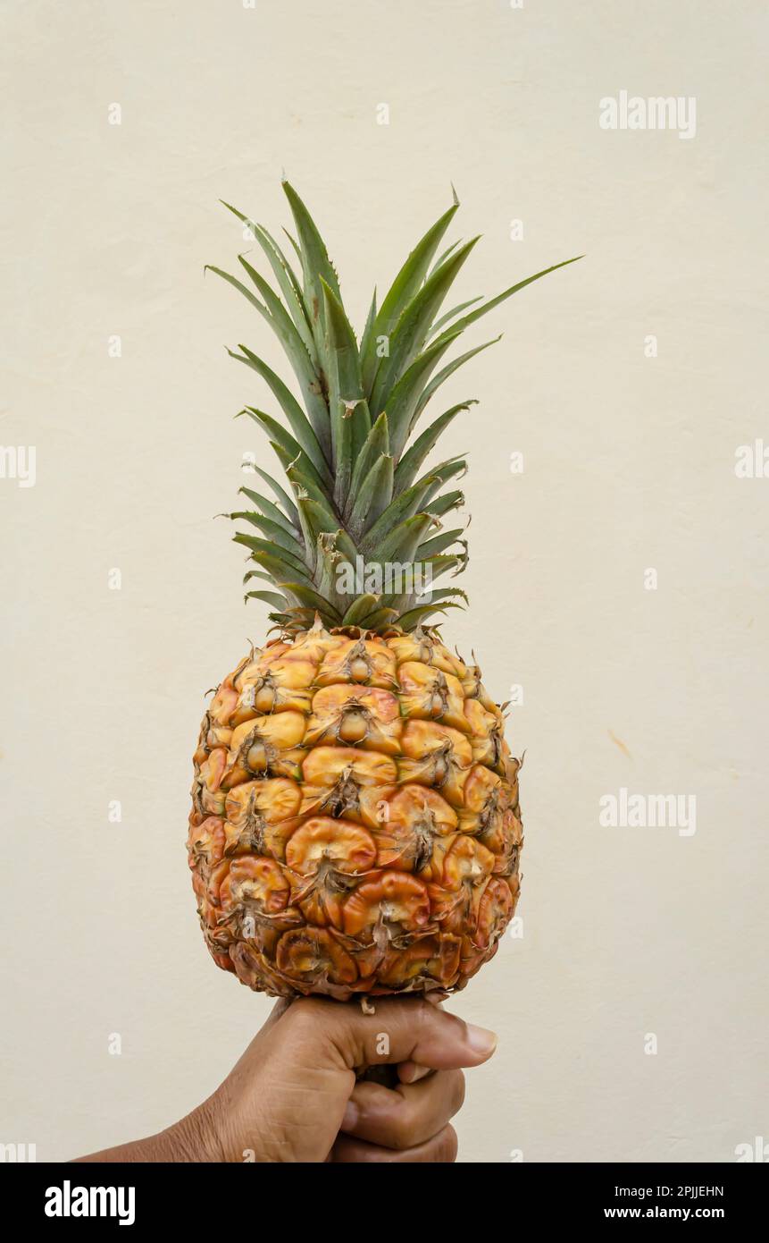 Multiple fruits hi-res stock photography and images - Alamy