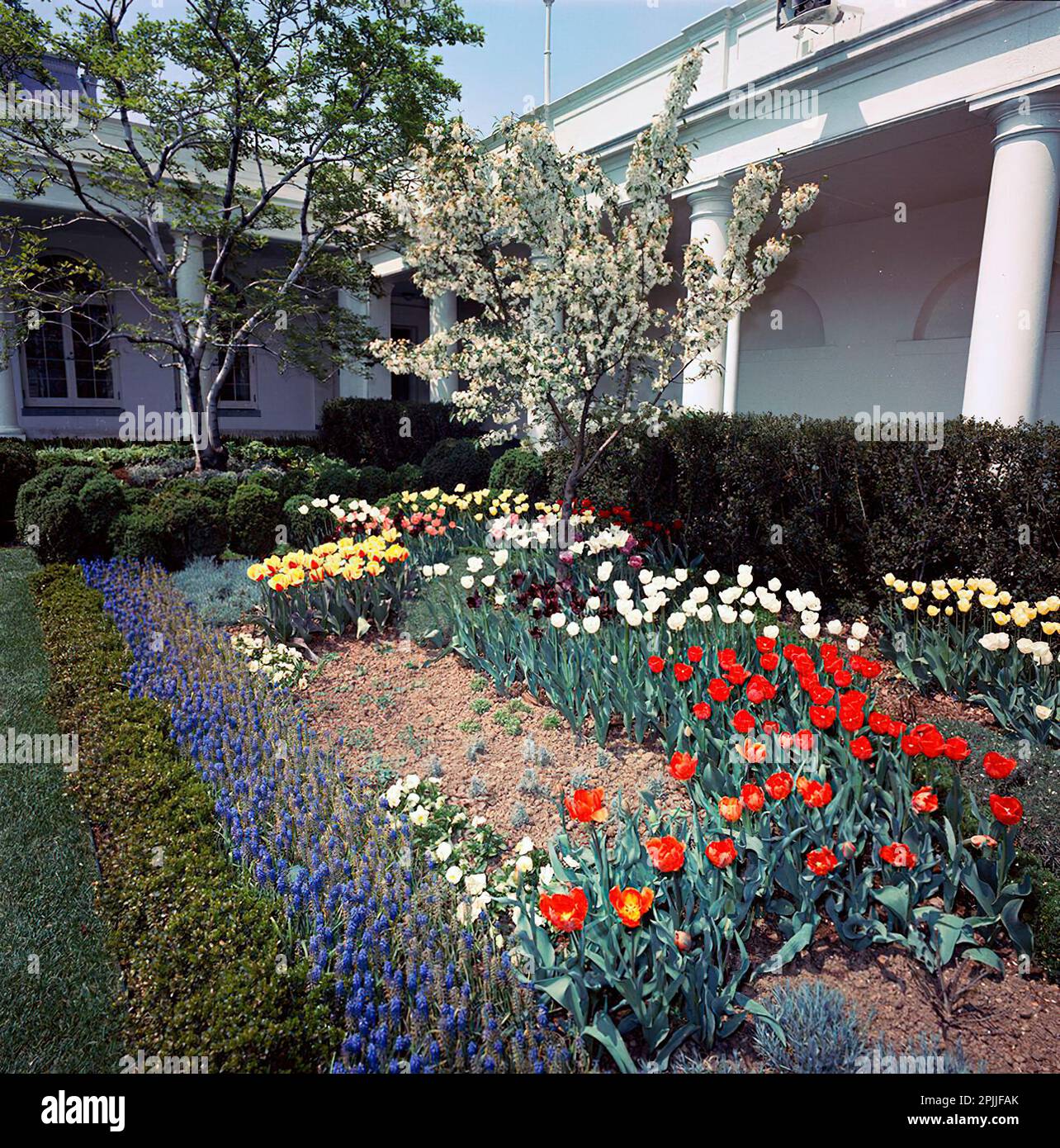 ST-C102-2-63 18 April 1963 Rose Garden, views. Please credit "Cecil ...