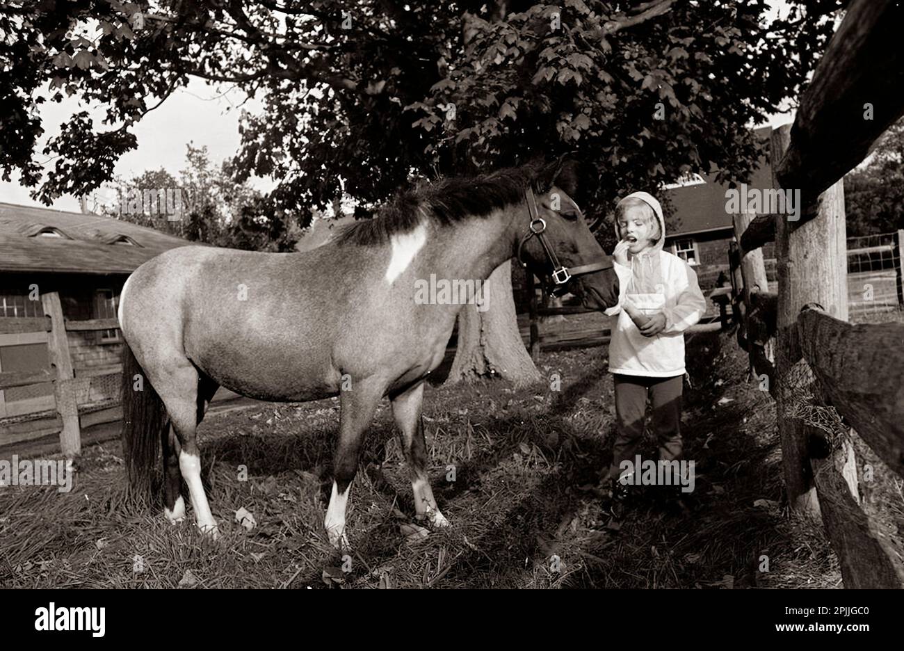 KN-C29982 14 September 1963 Weekend at Newport, Rhode Island: Caroline ...