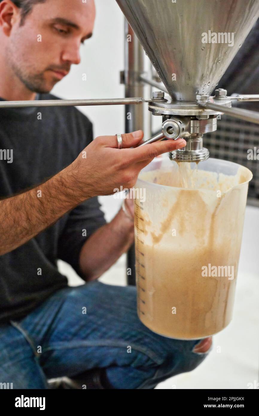 Keeping the brew fresh. a young man working with brewing hops Stock ...