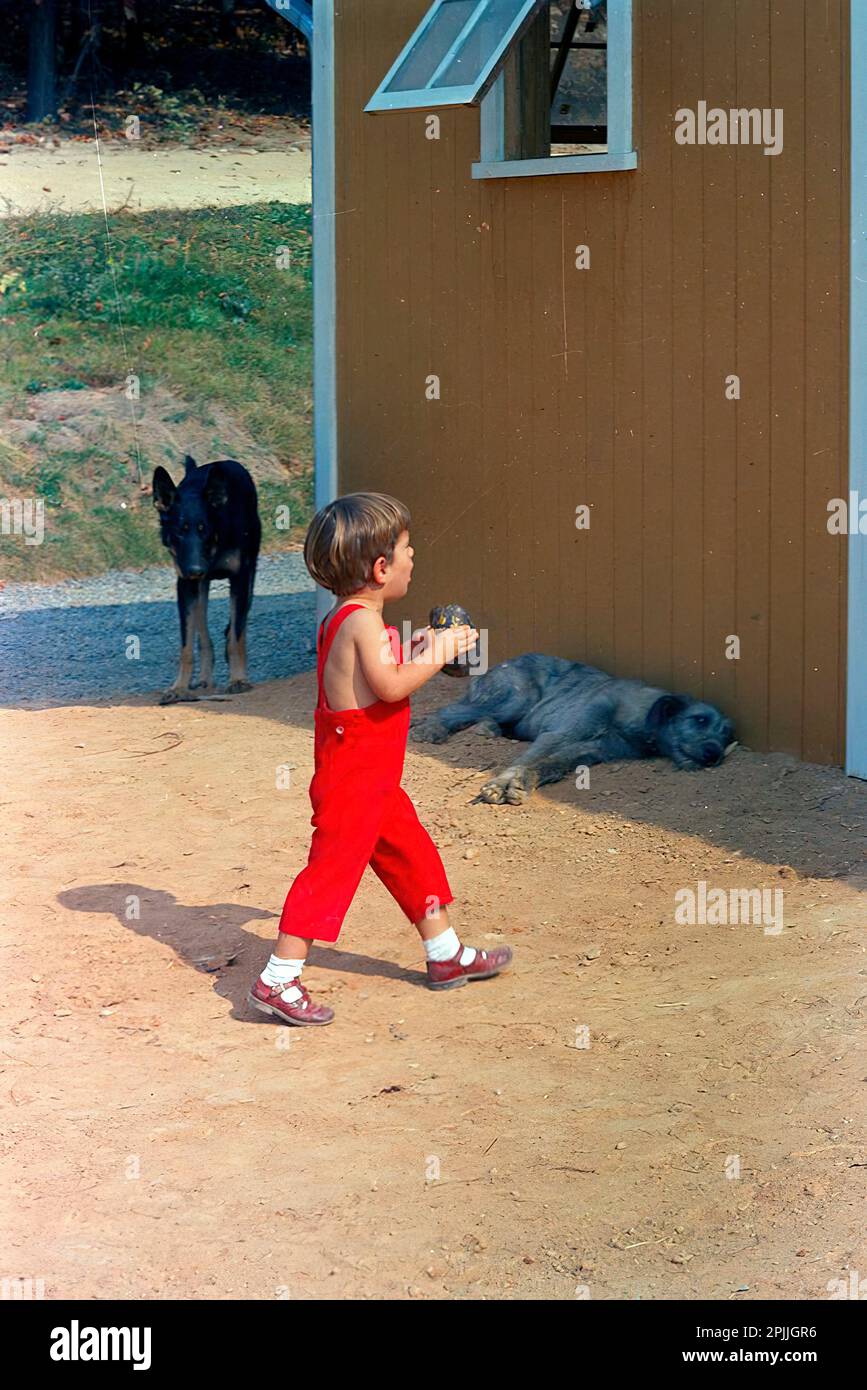 ST-C369-11-63 27 October 1963 Weekend at Atoka: Jacqueline Kennedy (JBK ...