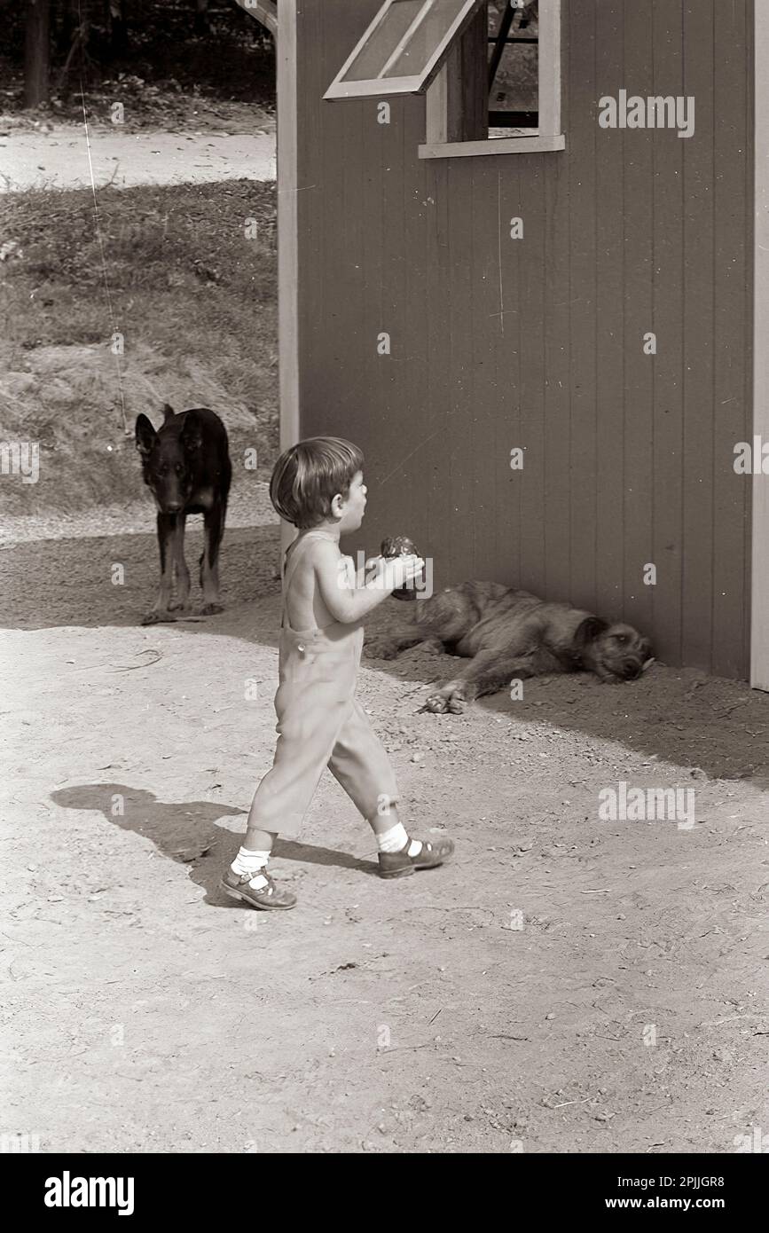ST-C369-11-63 27 October 1963 Weekend at Atoka: Jacqueline Kennedy (JBK ...