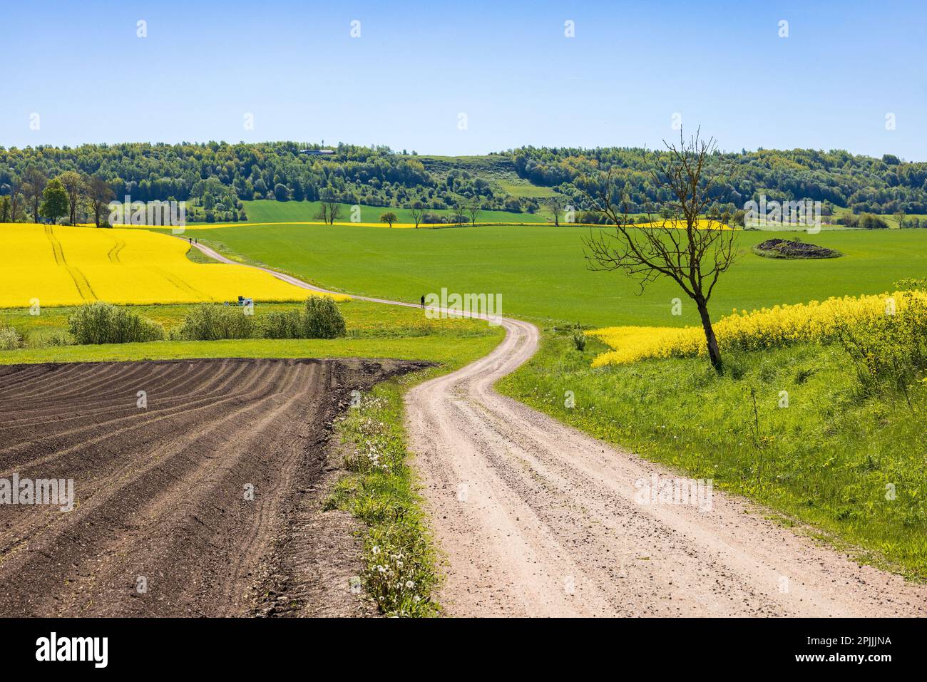 Winding road in a beautiful rural country landscape at spring Stock ...