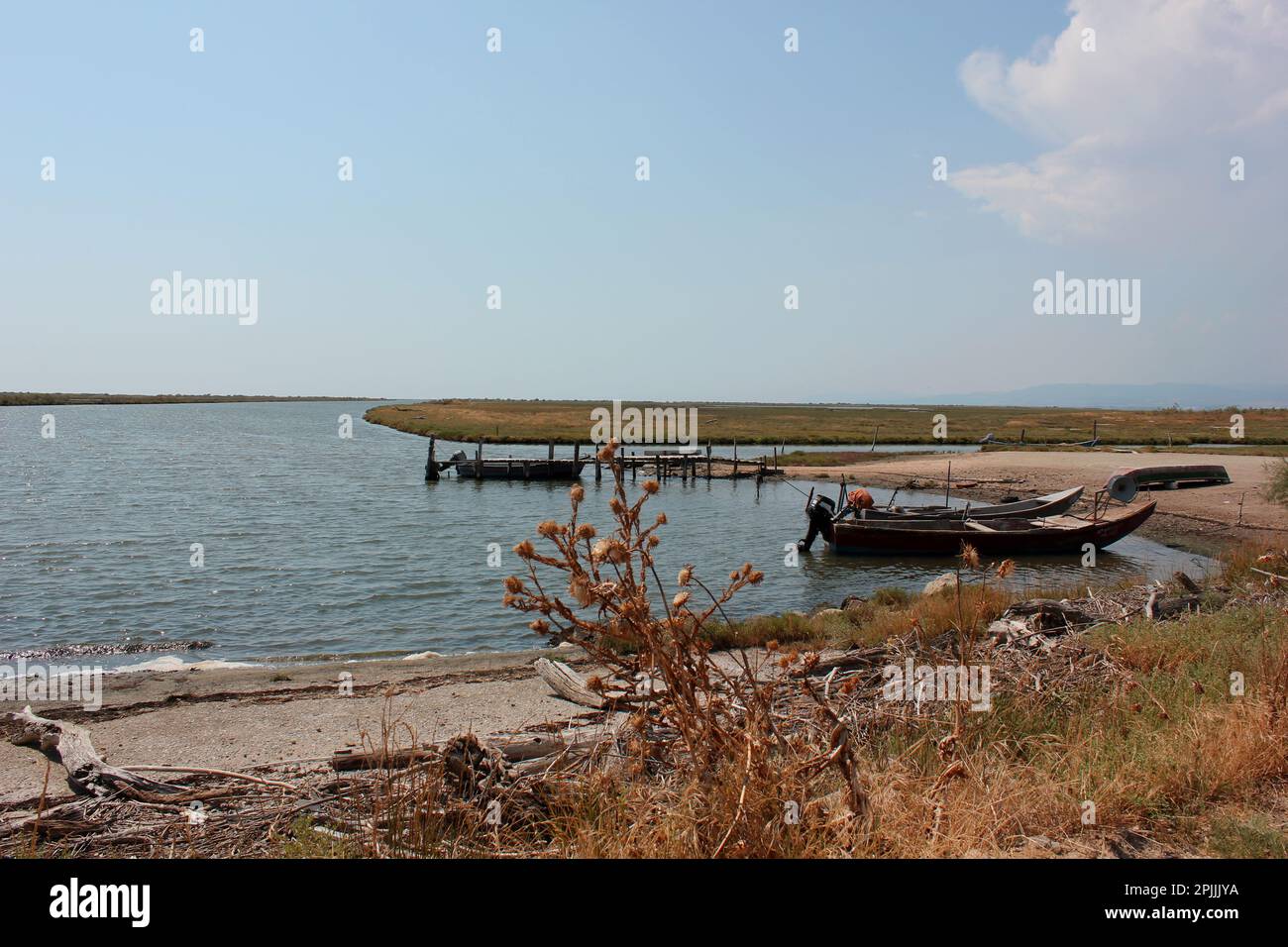 Delta Evros National Park, Evros Thraki Greece Stock Photo - Alamy