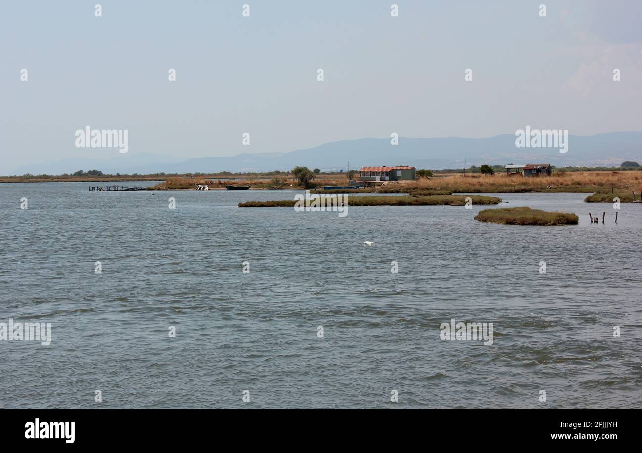 Delta Evros National Park, Evros Thraki Greece Stock Photo - Alamy