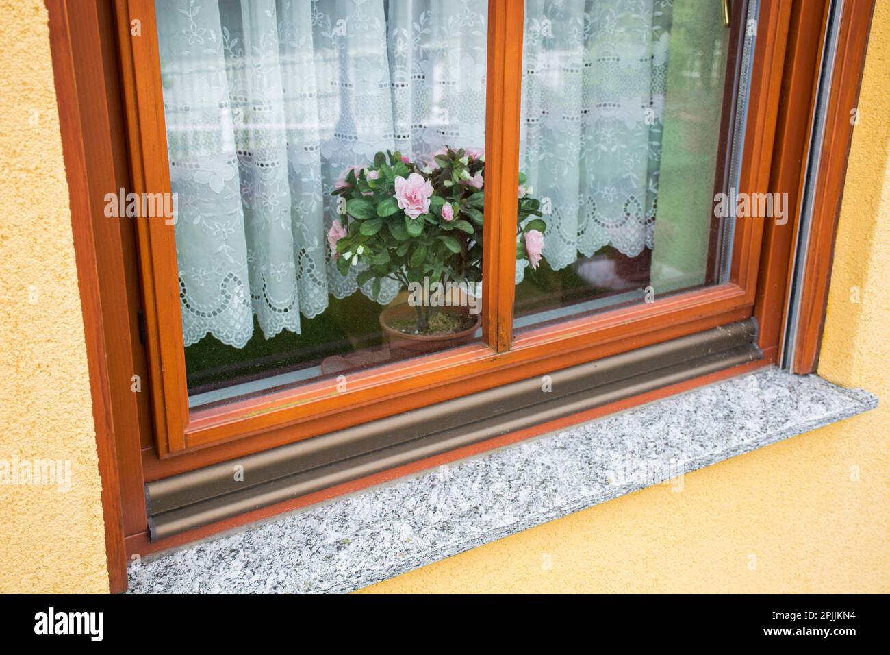 Flower pot by the window sill Stock Photo - Alamy