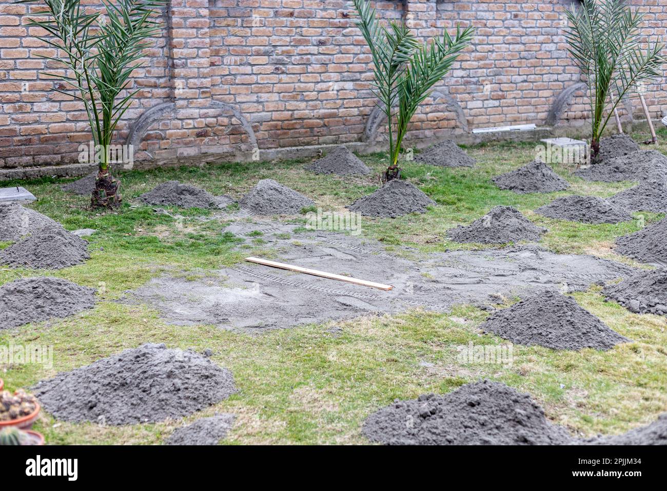 Preparing and leveling grass with the help of sand Stock Photo - Alamy