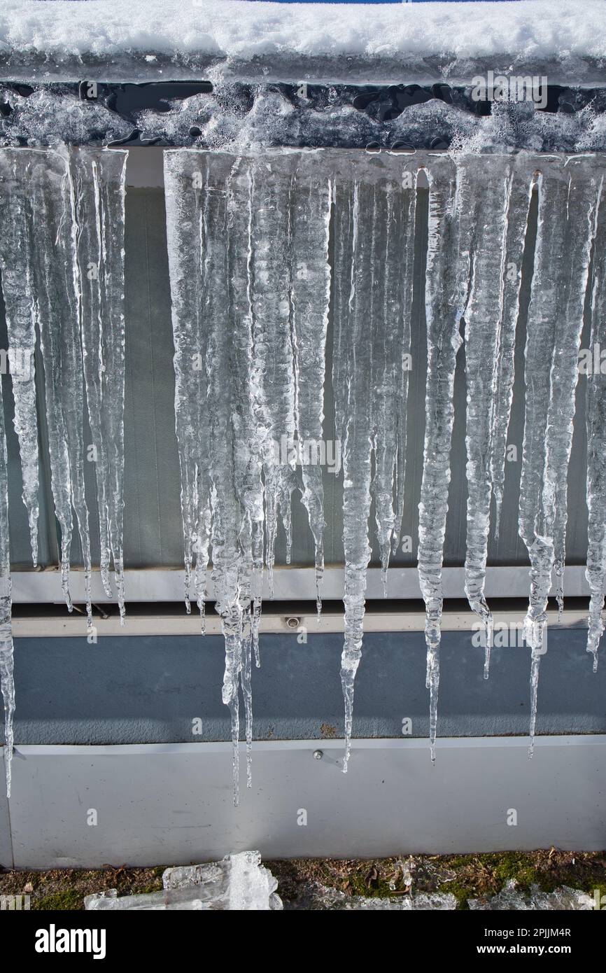 clear icicles dripping water from eaves at springtime Stock Photo - Alamy