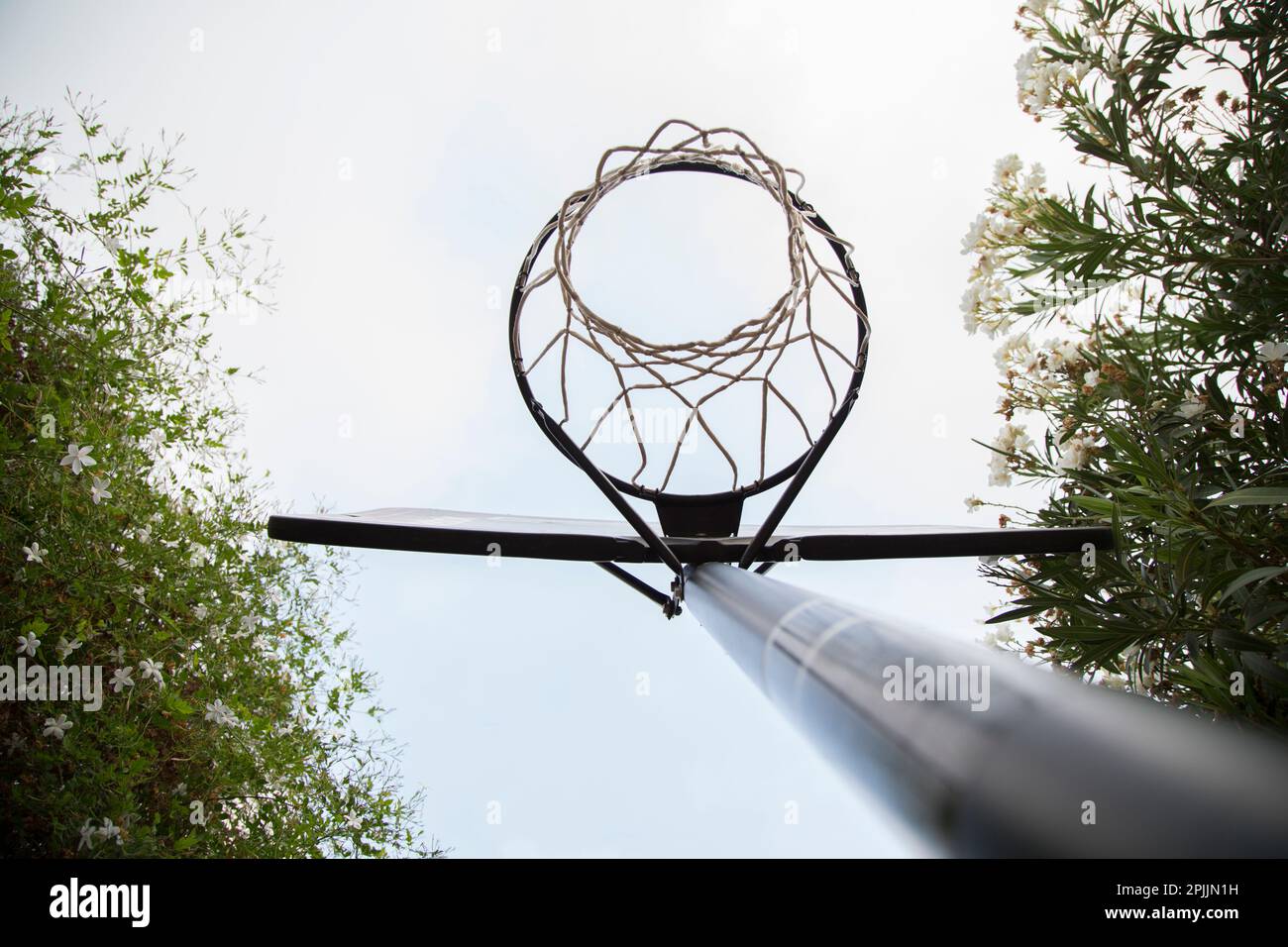 Basketball hoops trees basketball hi-res stock photography and images ...