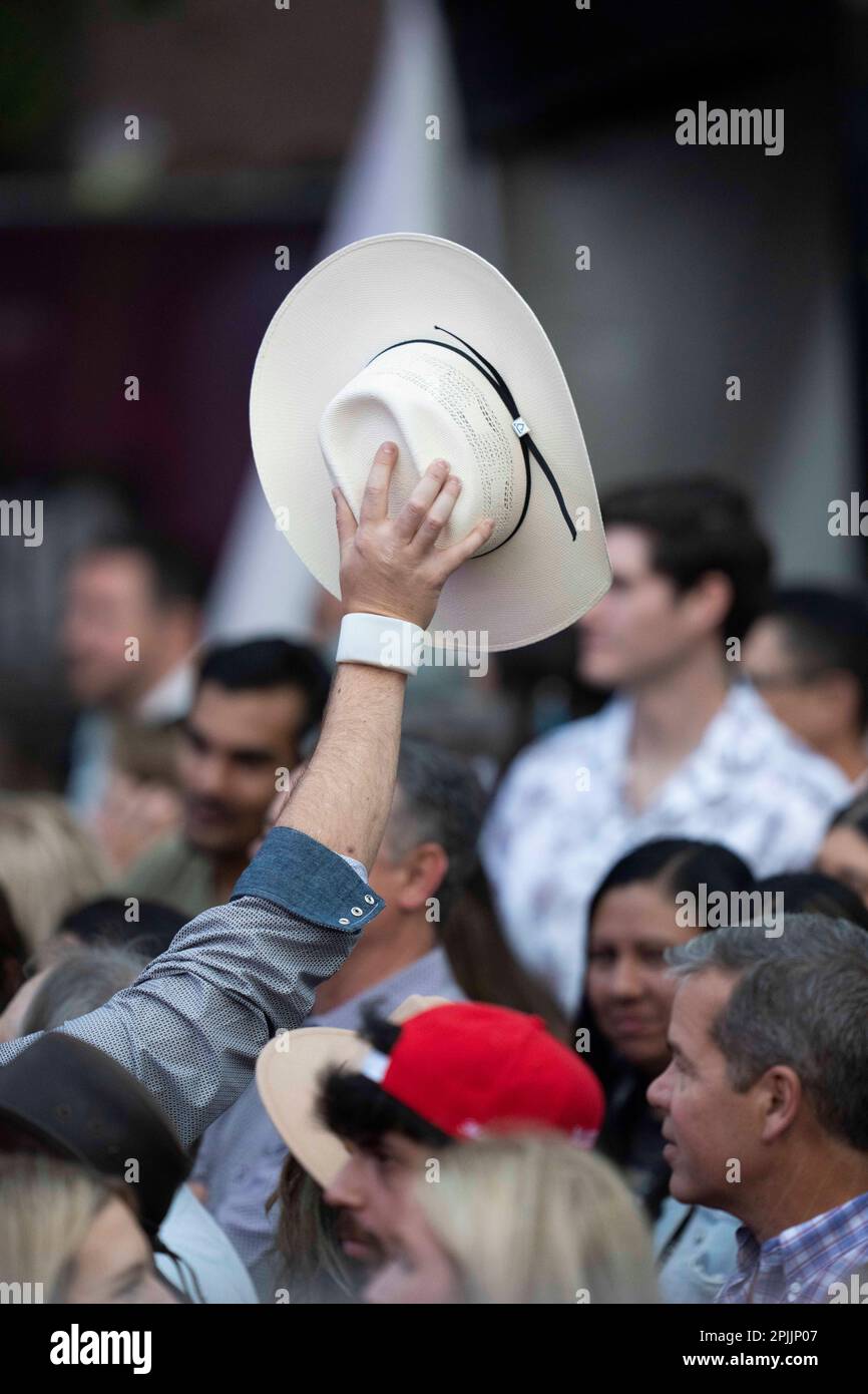 Country music fans hi-res stock photography and images - Alamy