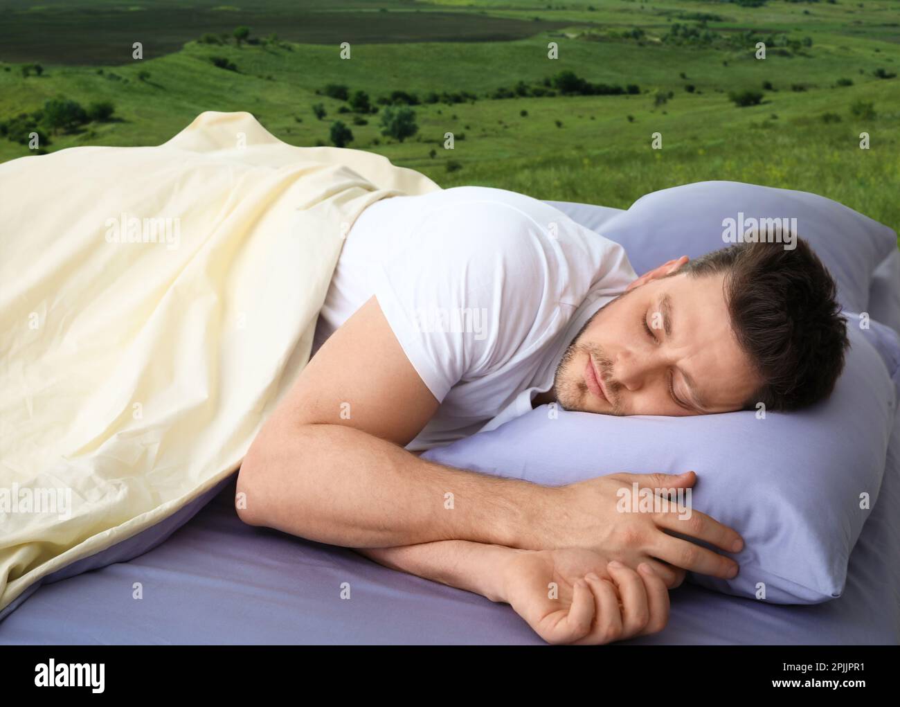 Man sleeping in bed and beautiful view of green lawn on background ...