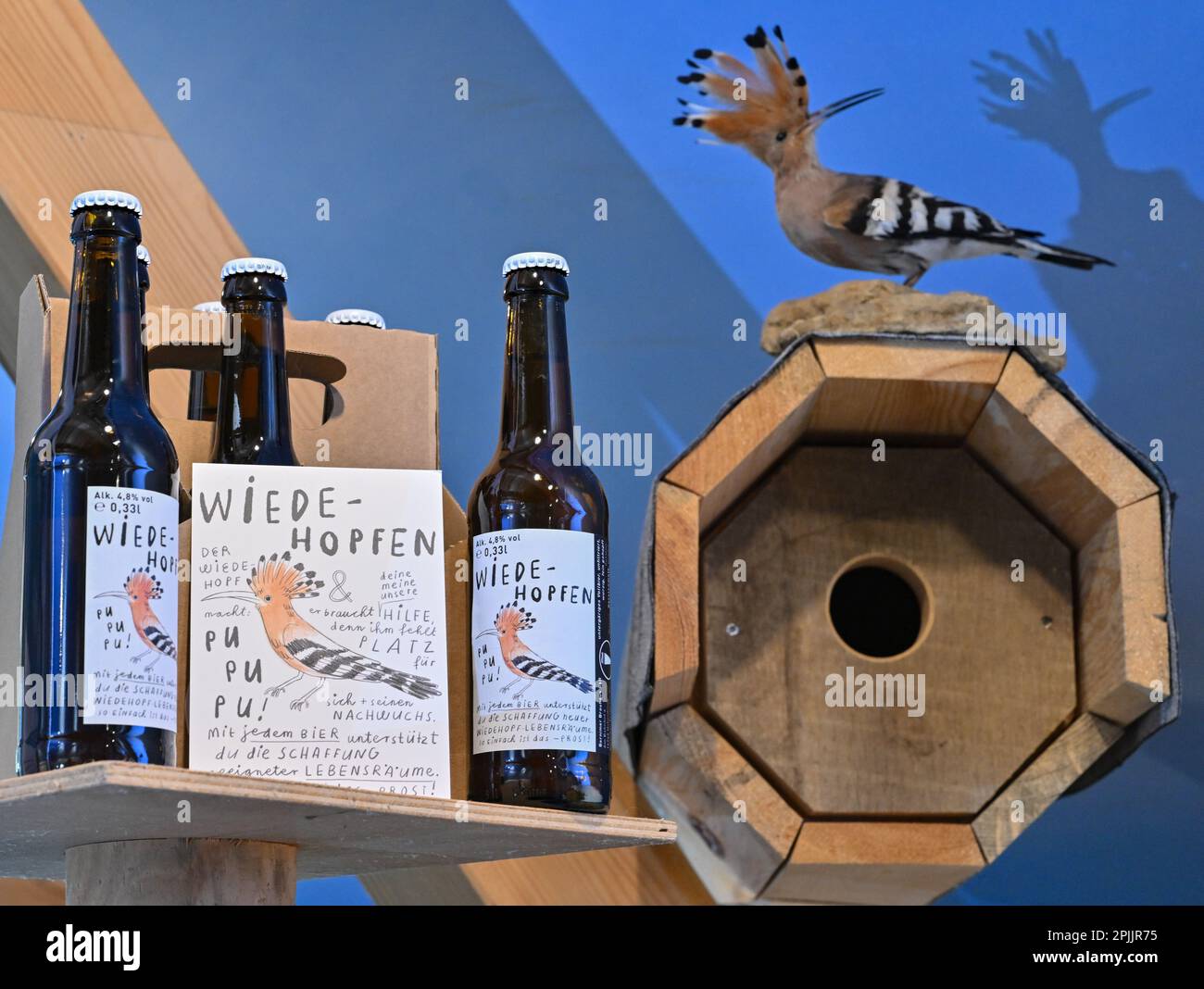 Amateur beer hi-res stock photography and images - Alamy