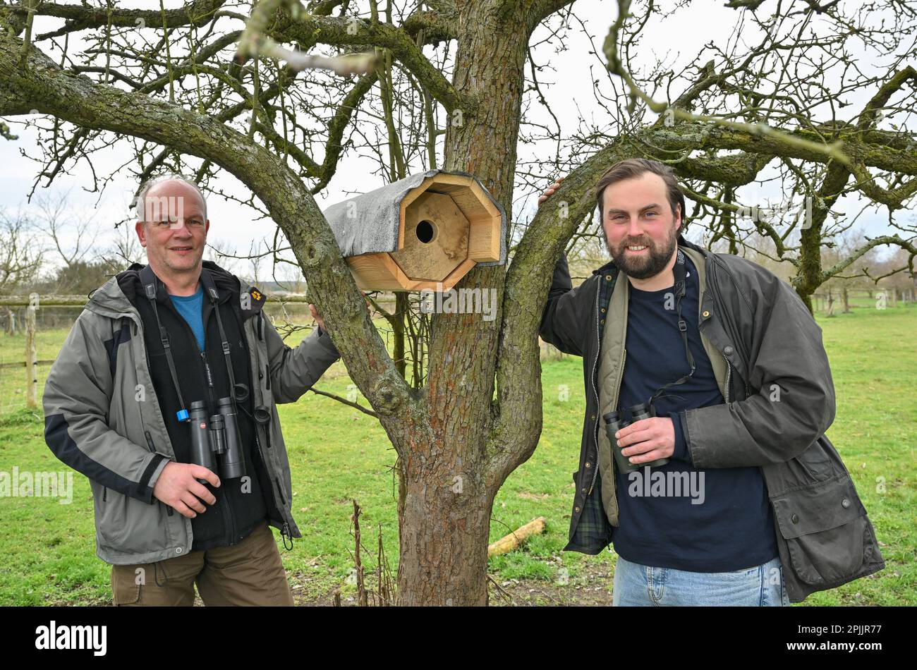 Using nesting box hi-res stock photography and images - Alamy