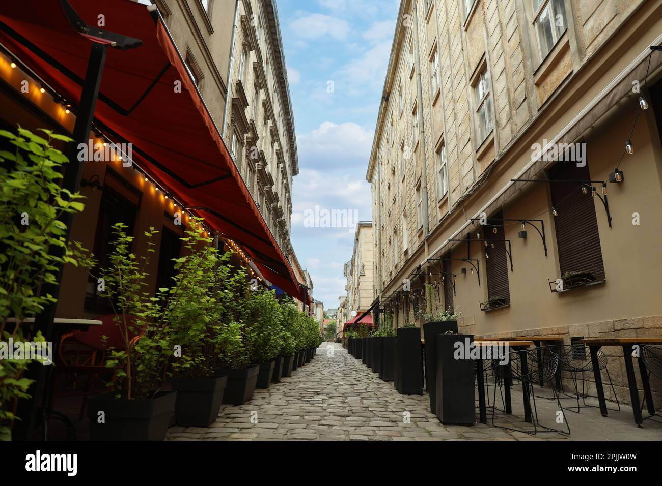 Narrow city street with beautiful buildings and potted plants Stock ...