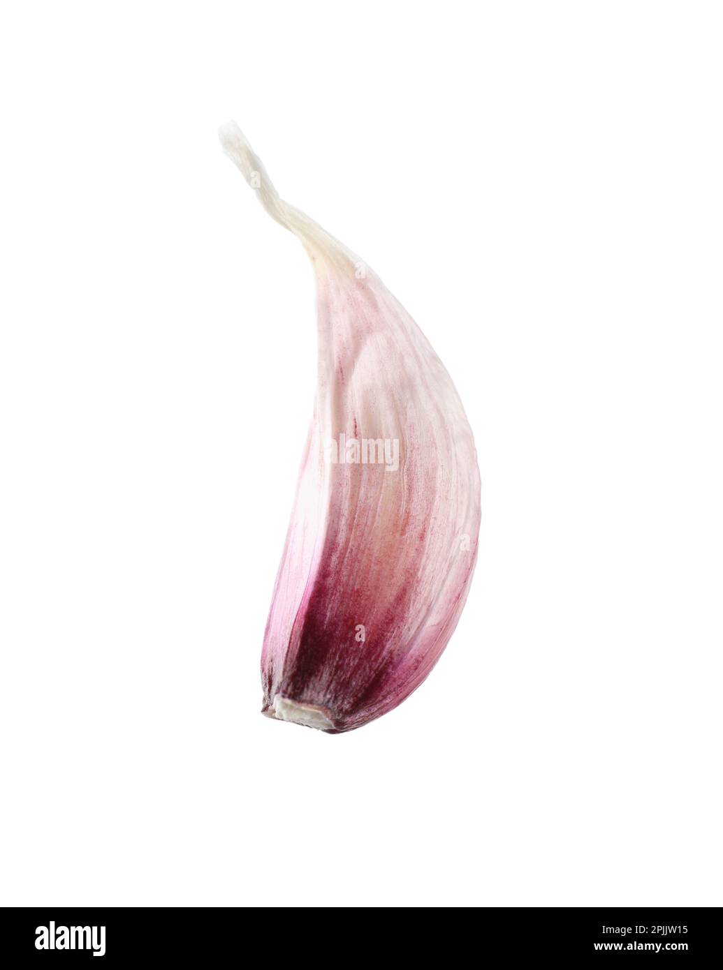 One unpeeled garlic clove isolated on white Stock Photo - Alamy