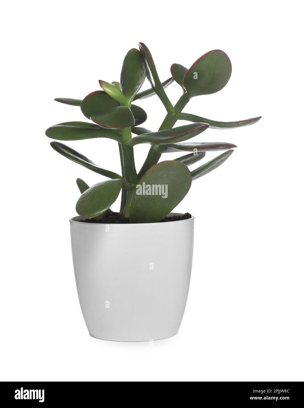 Beautiful jade hi-res stock photography and images - Alamy