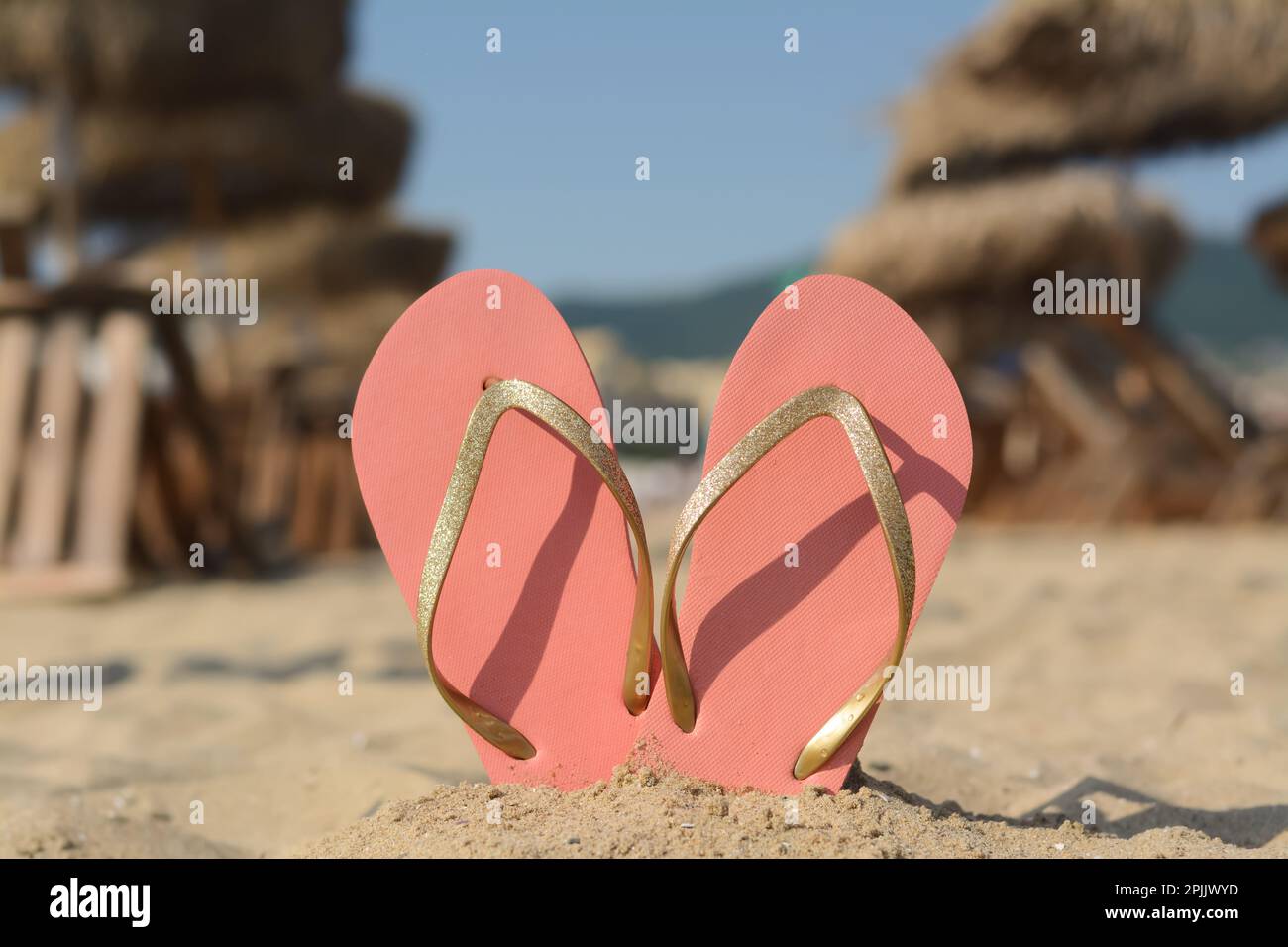 Stylish flip flops in sand on beach Stock Photo - Alamy