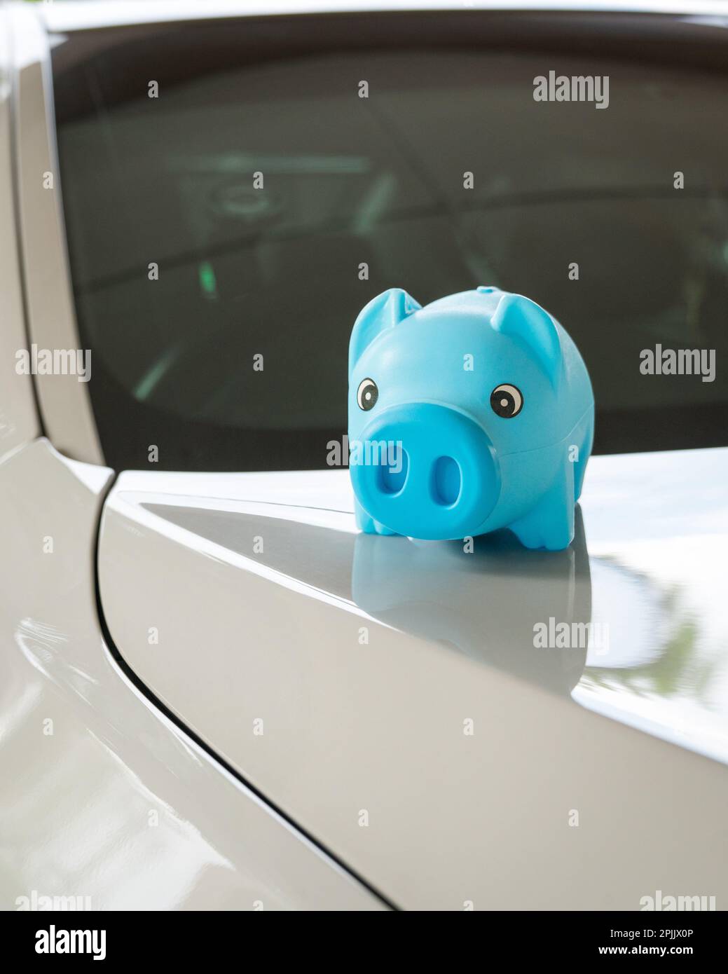 Blue piggy bank money box on top of white car bonnet. Car purchase and ...