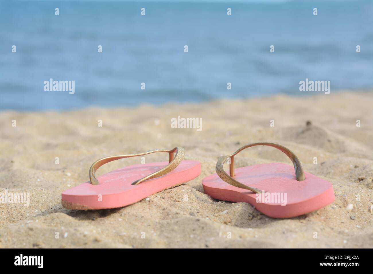 Stylish flip flops on sandy beach near sea Stock Photo - Alamy