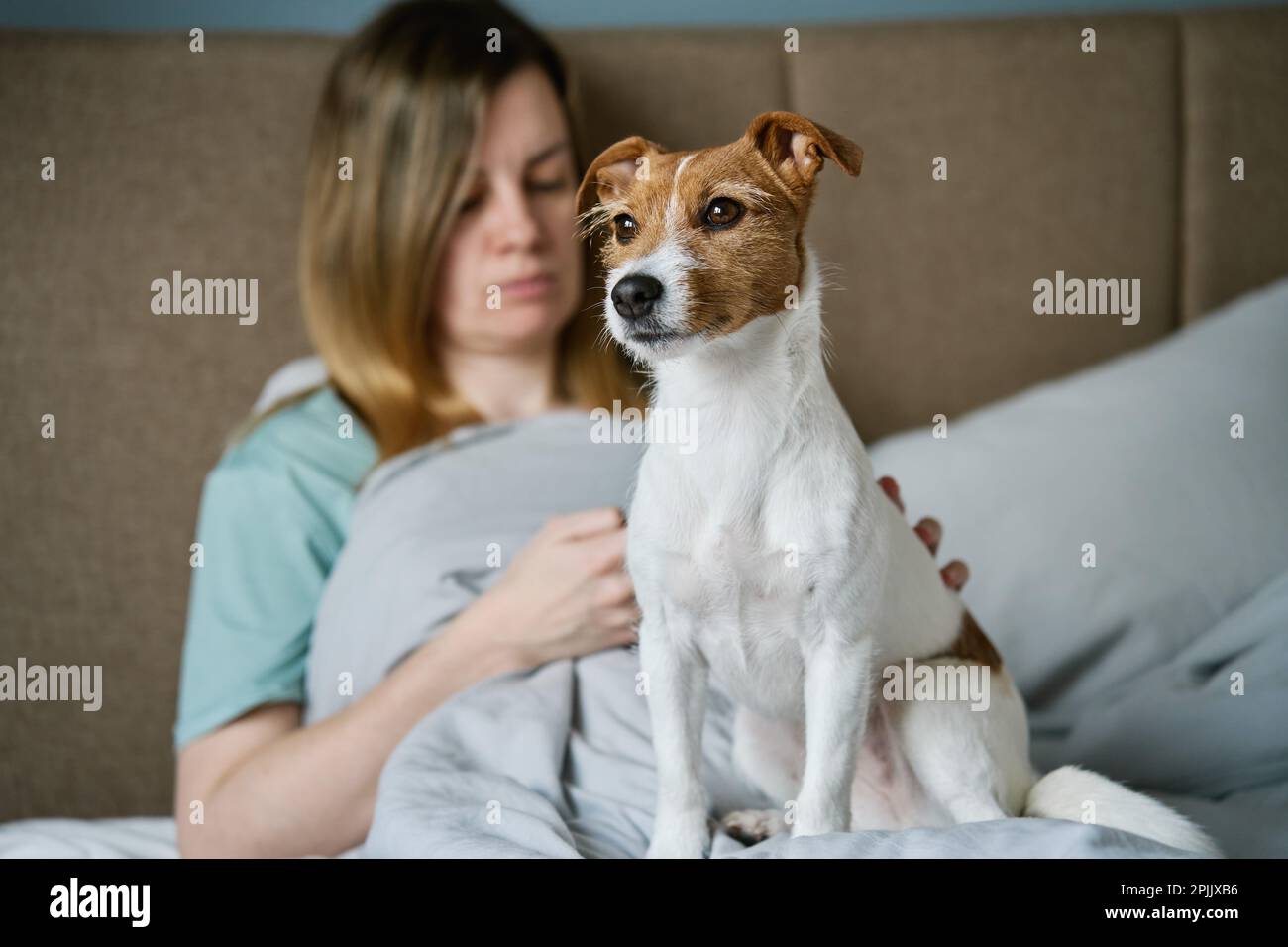 Woman with cute dog chilling in bed at morning and use smartphone, lazy ...