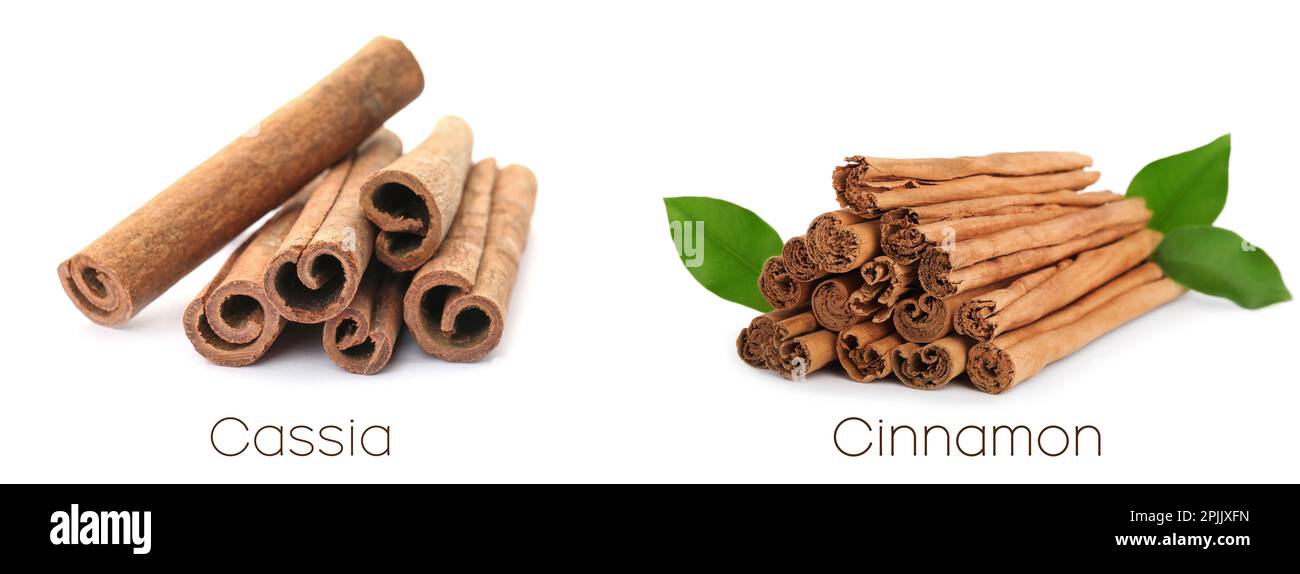 Collage with photos of cassia and cinnamon sticks on white background ...