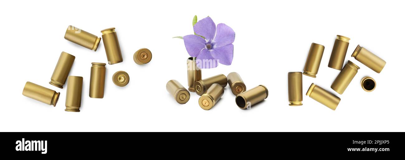 Set of bullet shells and beautiful flower on white background, top view ...